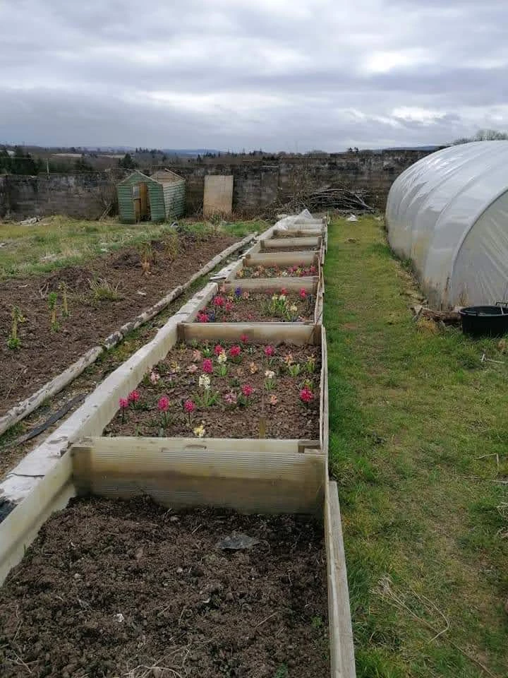 Spring is in full-swing at our Eco Farm! | ISKCON Scotland
