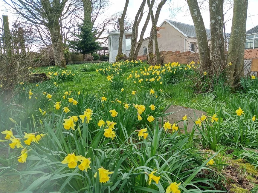 Spring is in full-swing at our Eco Farm! | ISKCON Scotland