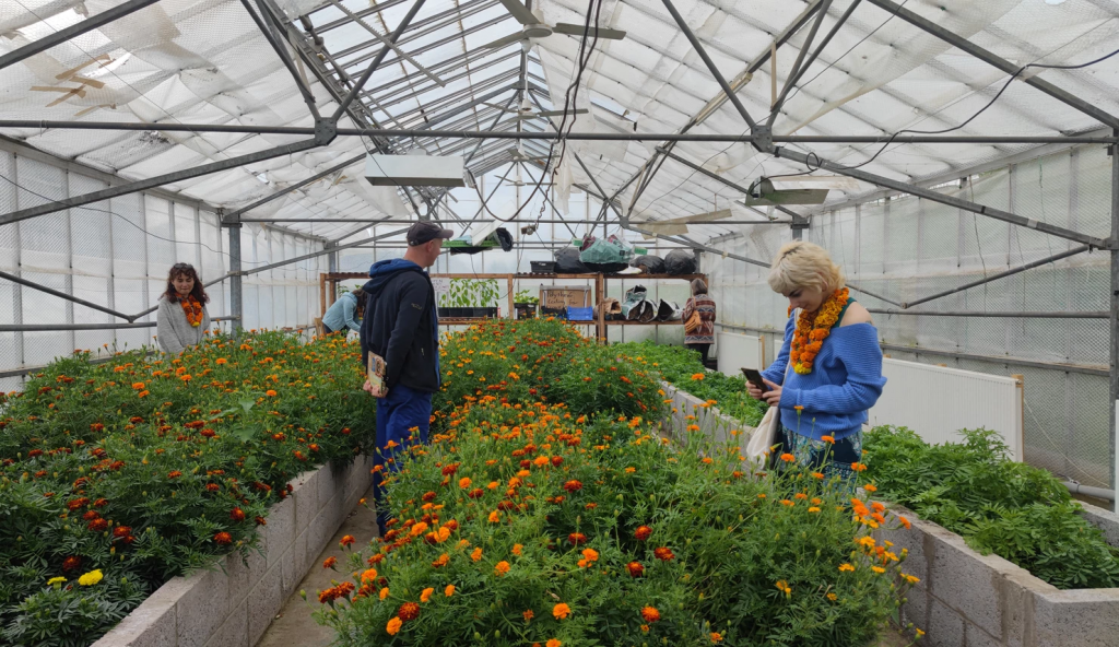International Yoga Day & Summer Solstice Celebration | ISKCON Scotland