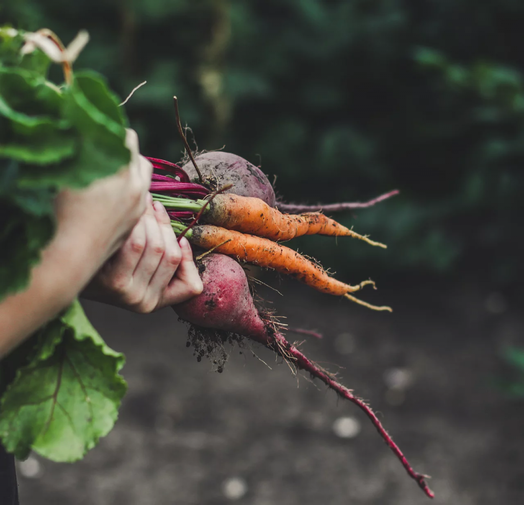 ISKCON Scotland | Caring for people and the planet